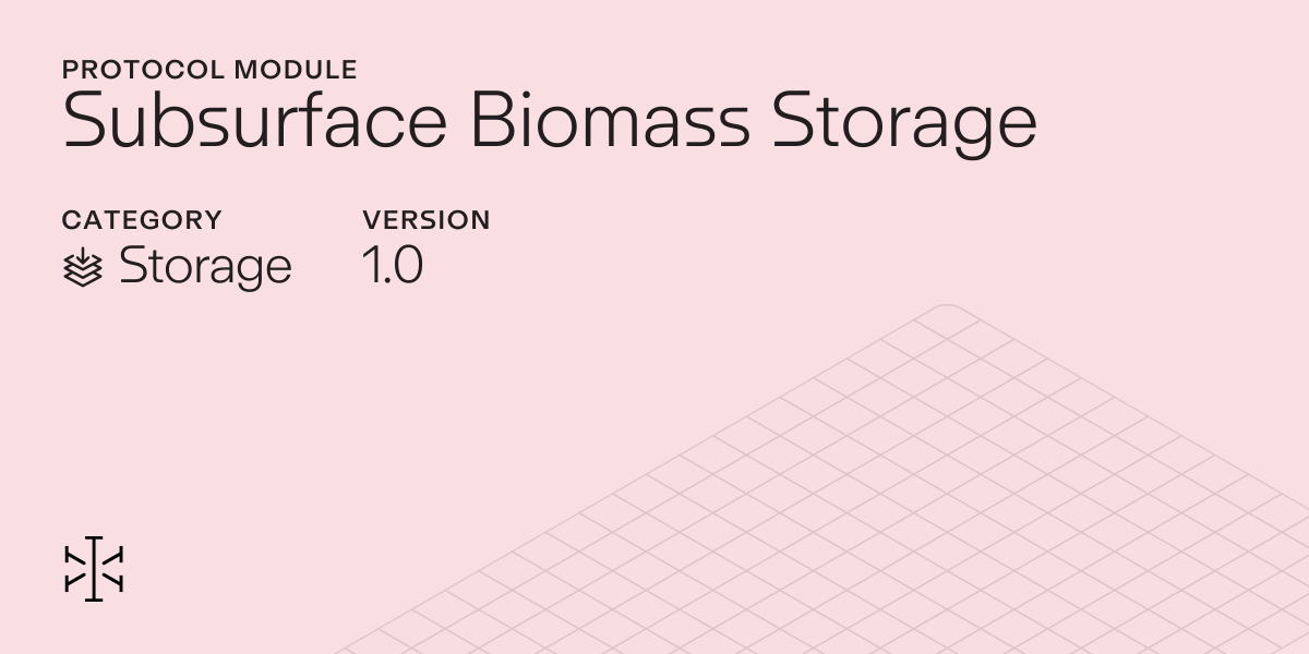 Subsurface Biomass Storage — Isometric