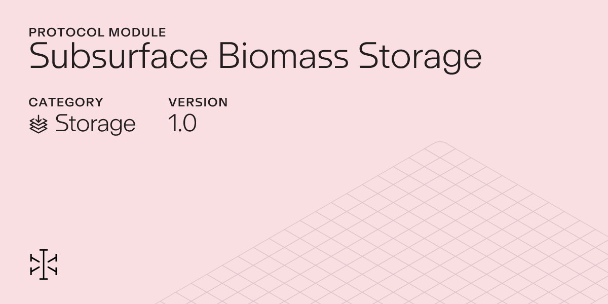 Subsurface Biomass Storage v1.0 — Isometric