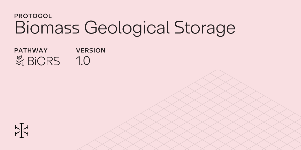 Biomass Geological Storage — Isometric