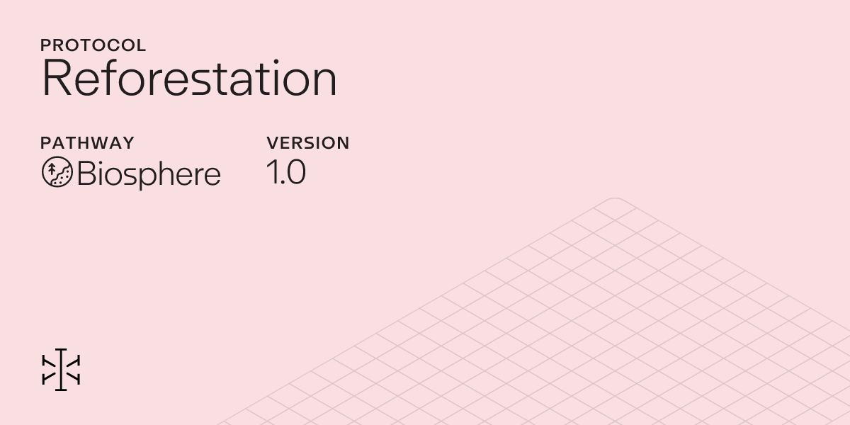 Reforestation v1.0 — Isometric
