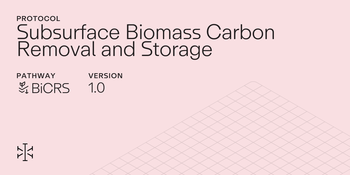 Subsurface Biomass Carbon Removal and Storage — Isometric